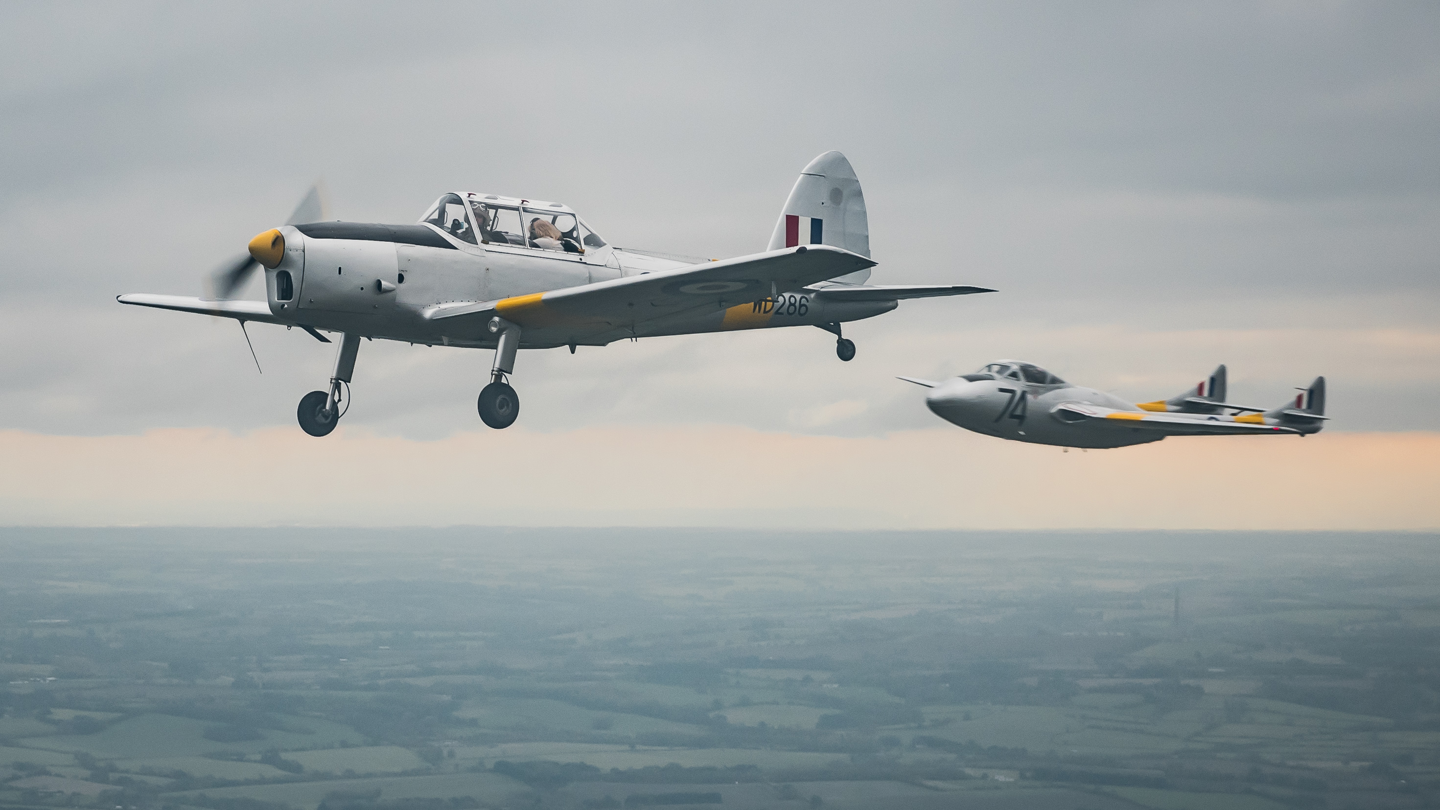 A look back upon 2020 – Vampire Preservation